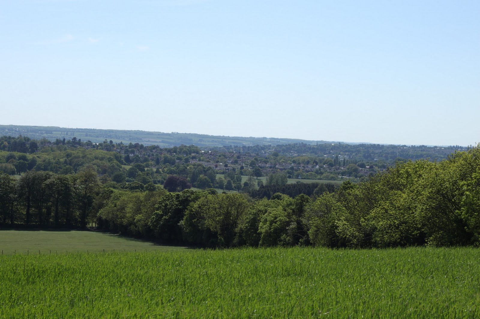 Trev's photo blog: A run round Boxley Village in the sun shine