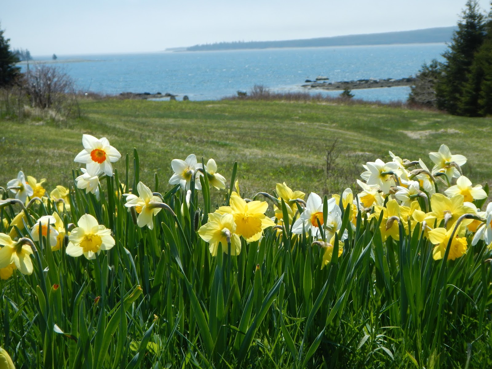 Living our dream in Nova Scotia: Winter, Spring and Summer