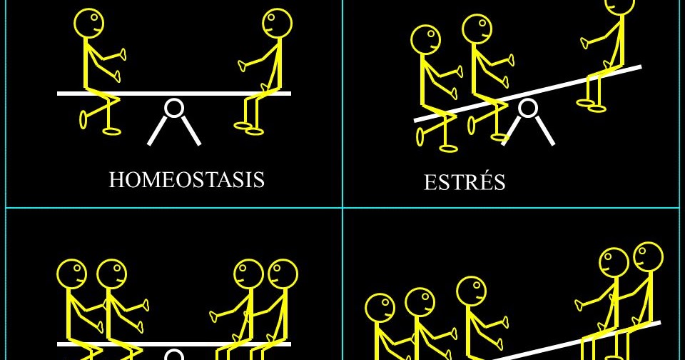 HOMEOSTASIS Y ALOSTASIS