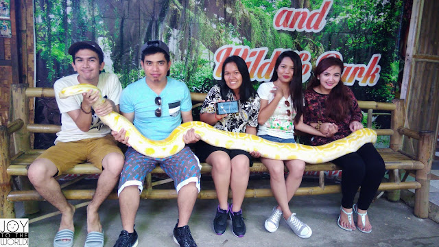 Bohol Countryside Tour — Veronica Decides to Blog