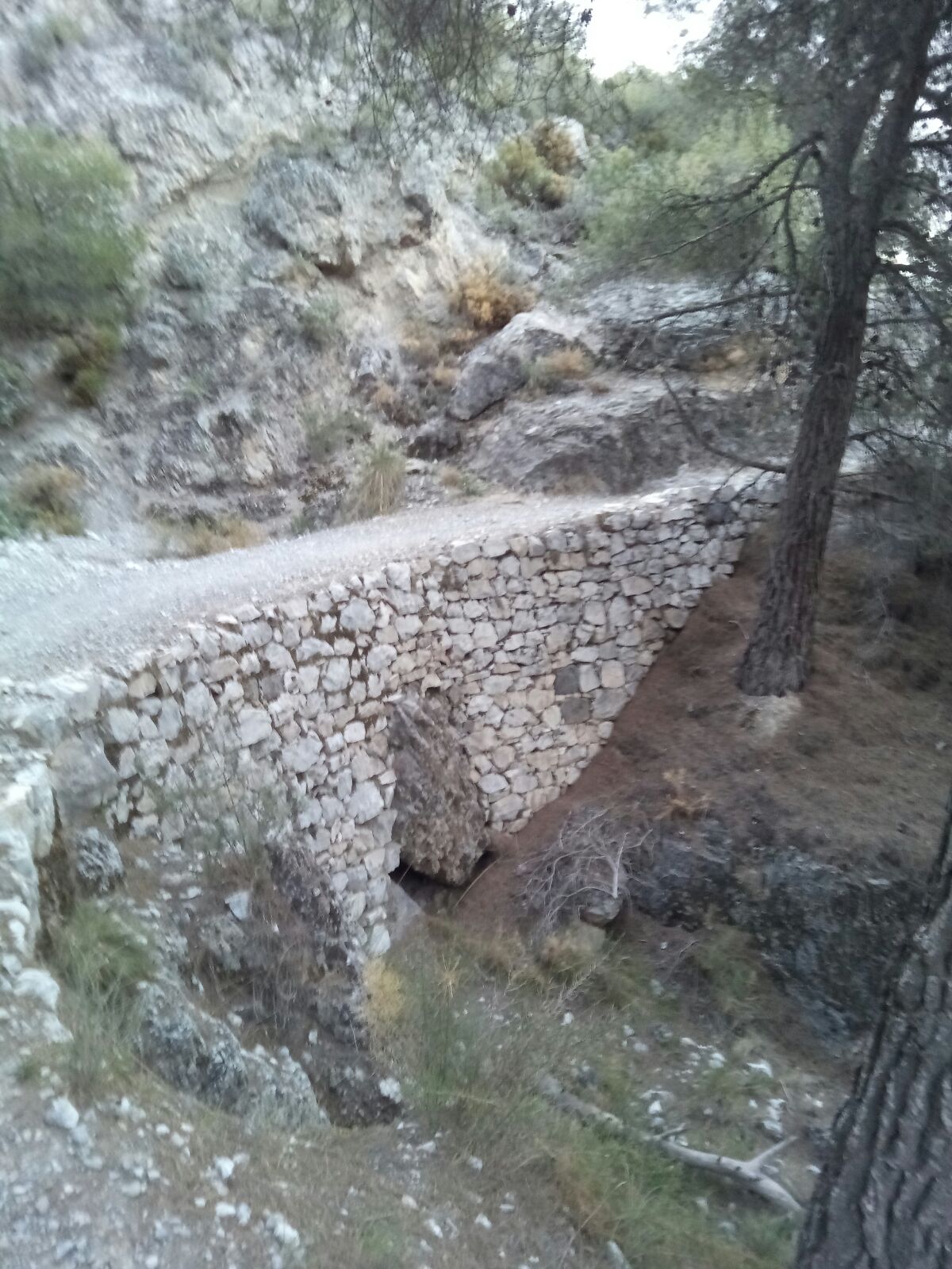 Memoria Histórica de Padul, GRANADA: Vereda de los Gudaris, Padul