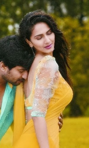 Vaani Kapoor Sarees In Aaha Kalyanam Movie
