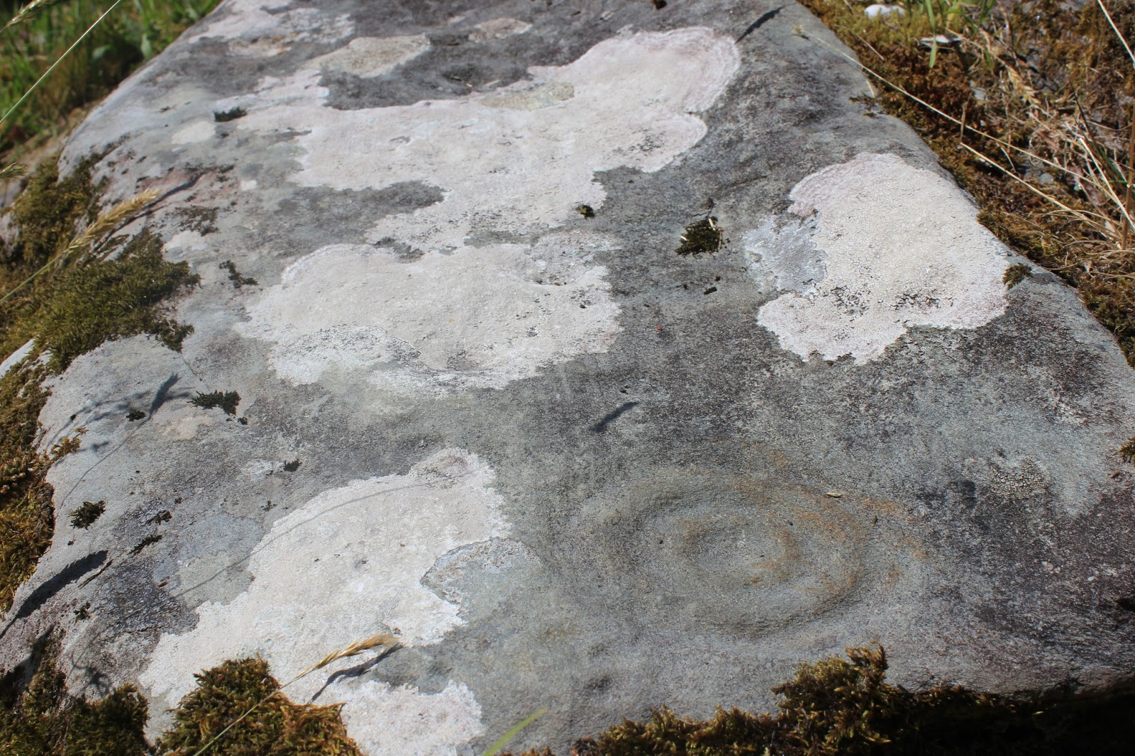Skríobh: Ancient Ireland: The Bohea Stone