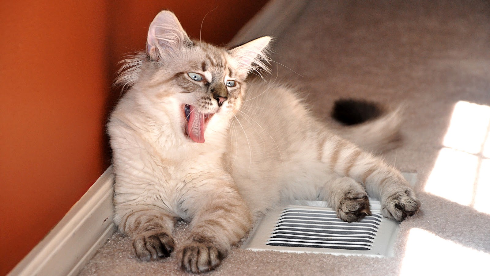 Wallpaper for desktop: March 2012