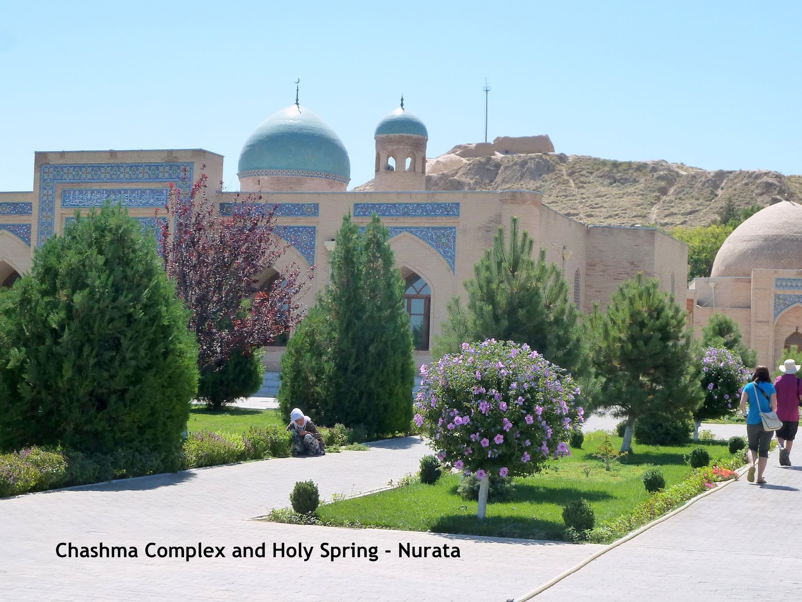 Multitasker: The road less travelled -----------to Nurata's Chashma ...