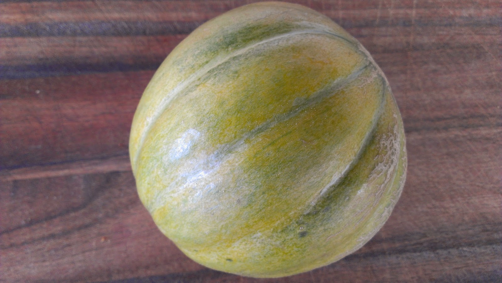 Glut: a year in my patch: A lovely pair of melons
