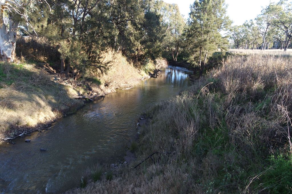 Jim Hodge's picture trail.: Condamine river.