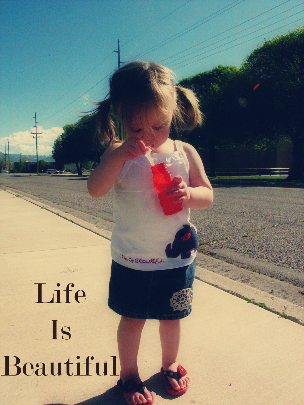 Life Is Beautiful! - Shwin & Shwin