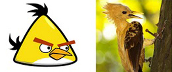 Nama Tokoh dan Karakter Angry Birds - Media Belajarku