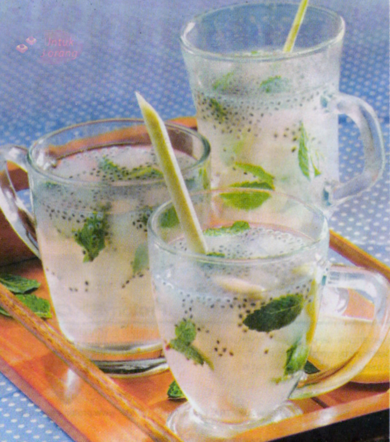 Resep Minuman Sehat: HOT MINT