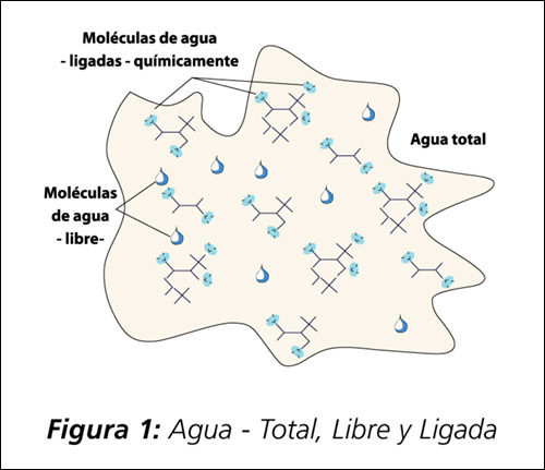 Avibert: Actividad del Agua Concepto e Importancia Equinlab