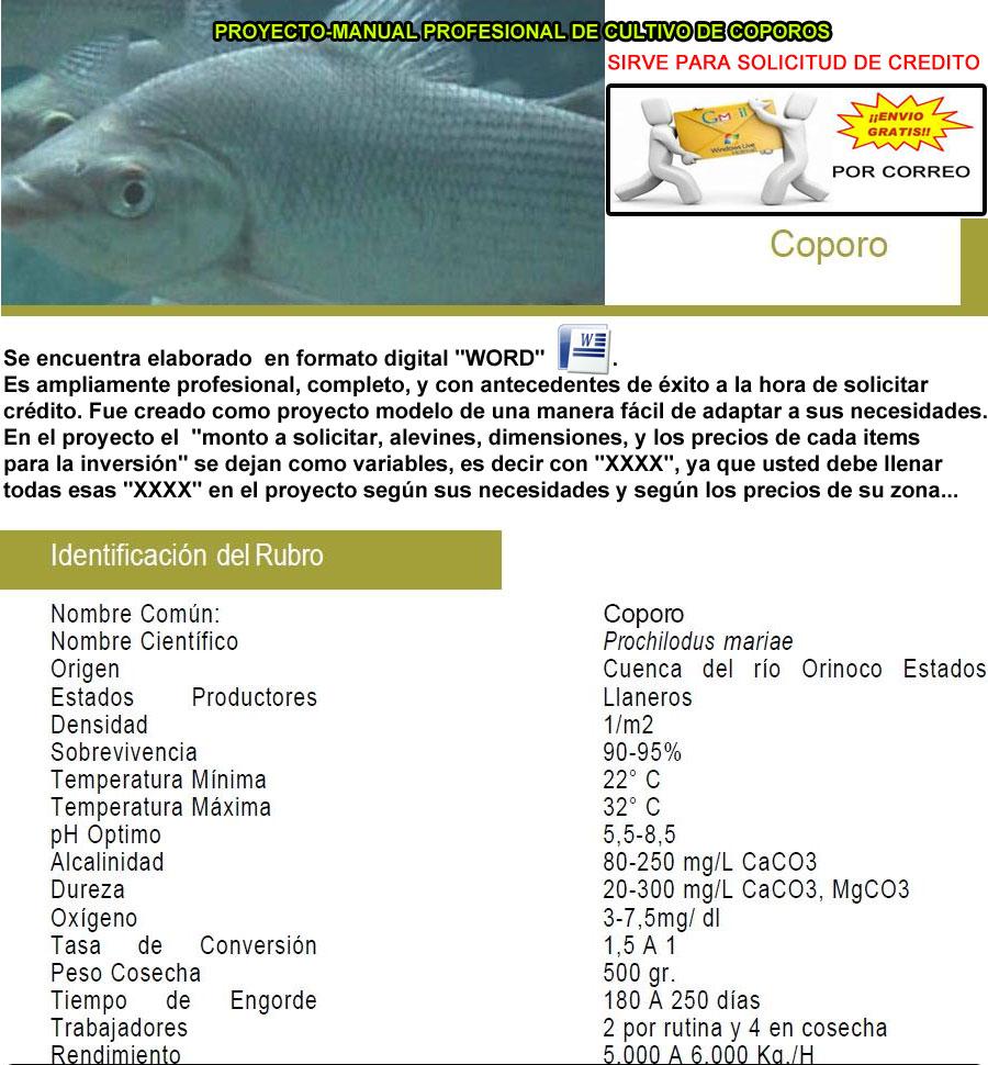 Proyecto De Cultivo De Coporo Sirve Para Solicitar Credito | Buenos ...