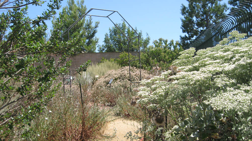 Mother Nature's Backyard - A Water-wise Garden: Why Gardens Matter (in ...