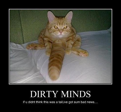 Dirty Minds optical illusions - WebTroit