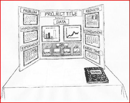 Science Fair Suggestions: Set up your experiment and poster