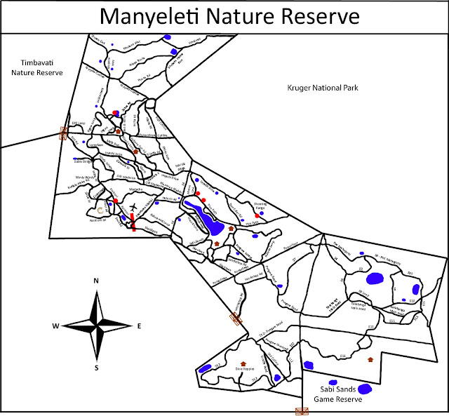 Tintswalo Ranger's Blog: Sightings Update: 4 - 19 March 2013