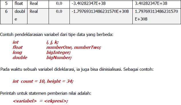Programing: DATA NUMERIK