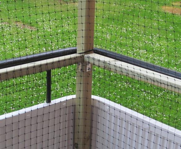 Bland Kreativitet & Mjuka tassar: Balkonginnätning och kattungegos