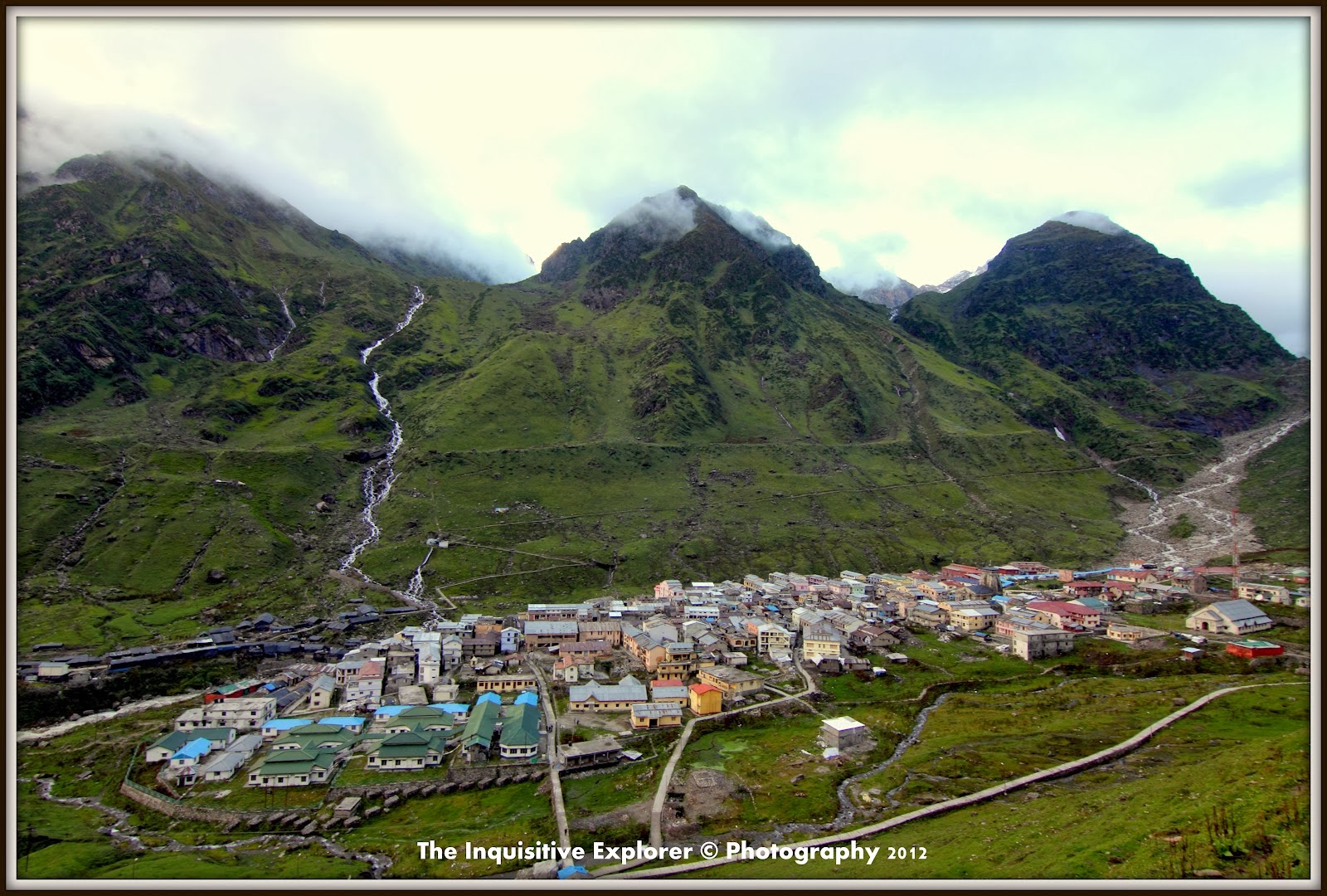 precious peace: SAVE KEDAR - Project presentation