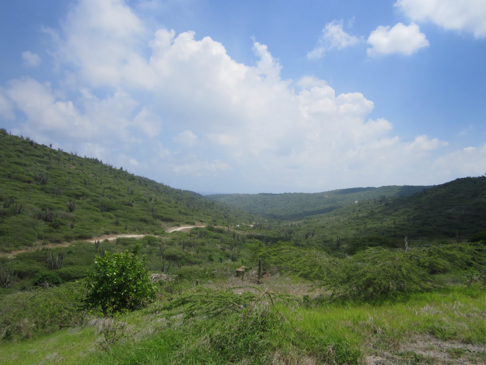 De belevenissen van de Familie Fingal op Aruba: Bezoek papa dag 6 ...