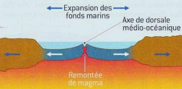 Blablasvt: 1ère S D3 (24) : 1950-1967, la relance des idées mobilistes ...