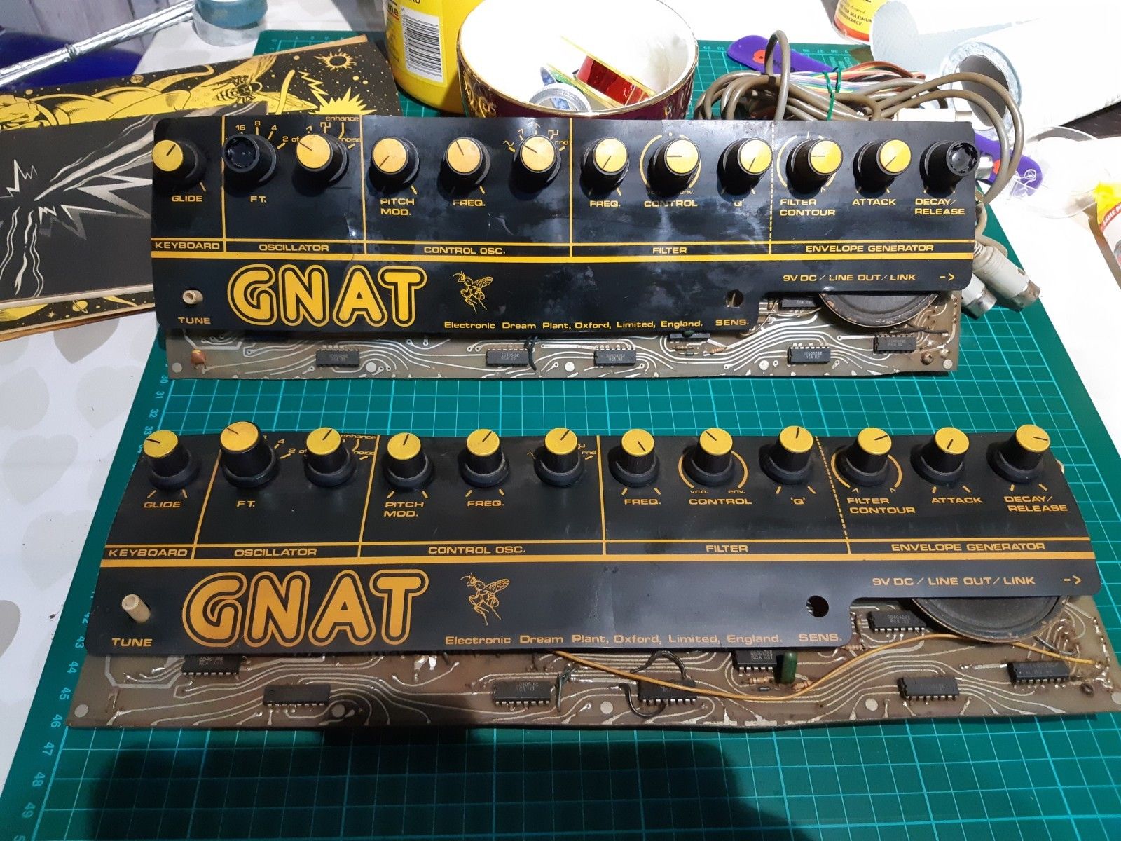 MATRIXSYNTH: Electronic Dream Plant Caterpillar, Wasp and 2 Gnat synths