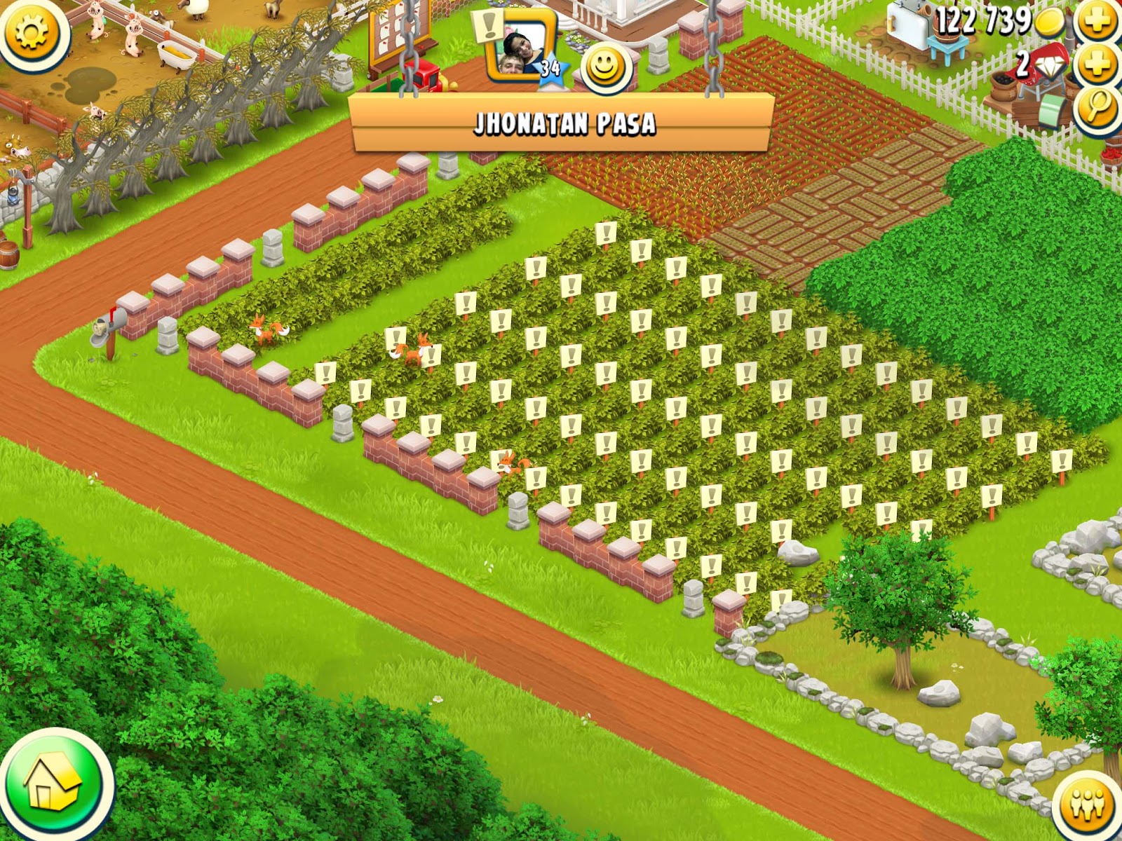 Hay Day Addiction: My Farm