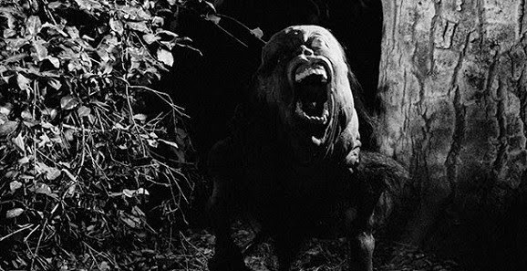 Digging up the Marrow (2014) | MIDIAN