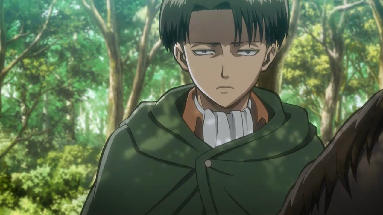 Graceful Insights Anime: Attack on Titan (Shingeki No Kyojin)