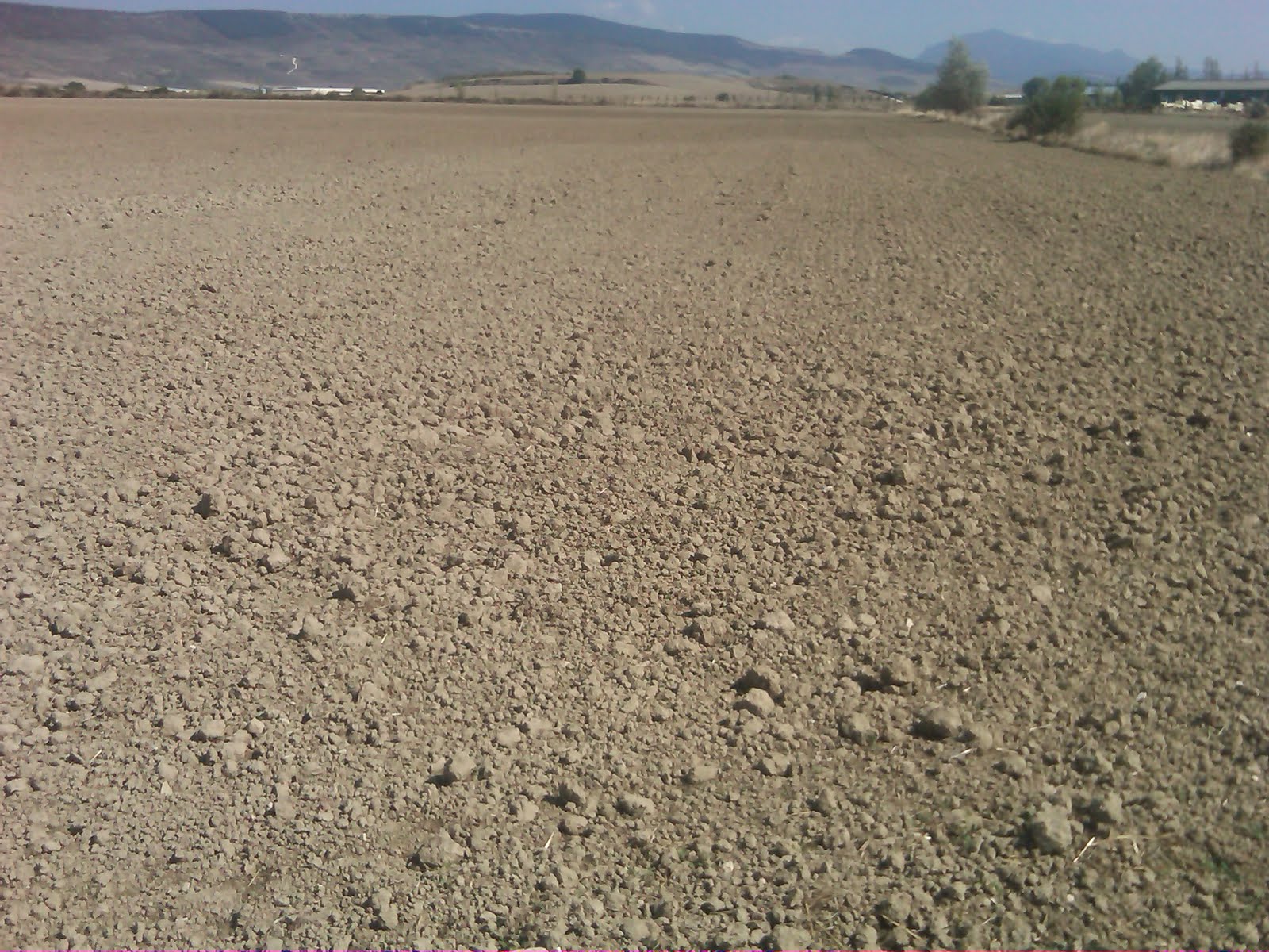 De la siega a la siembra ... - NENIKÉKAMEN: CORREDOR CONVERSO.
