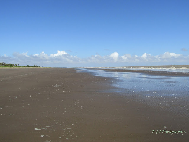 Beach - Guyana