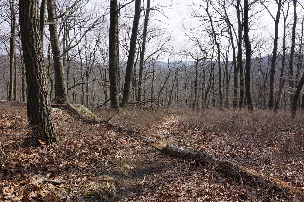 Harriman Hiker: Harriman State Park and Beyond: Pound Swamp Mountain Loop