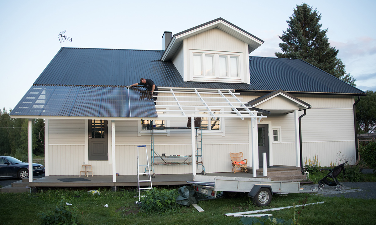 Pronssinvärinen valokate | Voikukkapelto