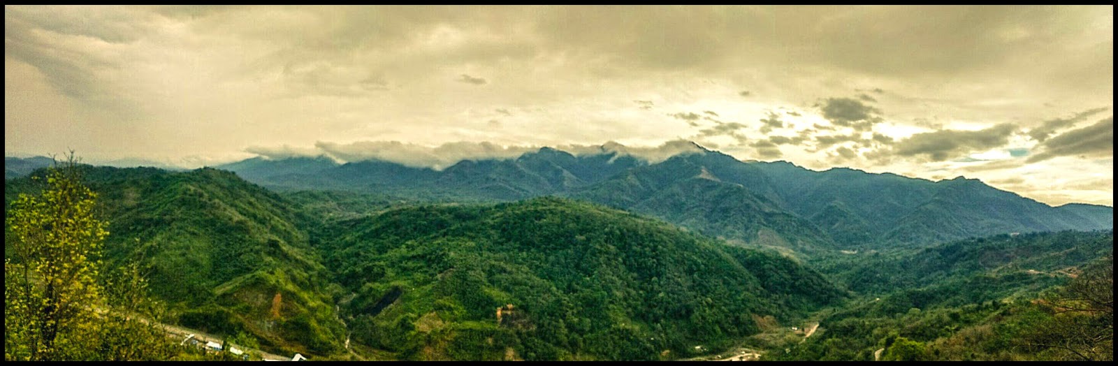 Jatinga,Assam,India | Travel life journeys