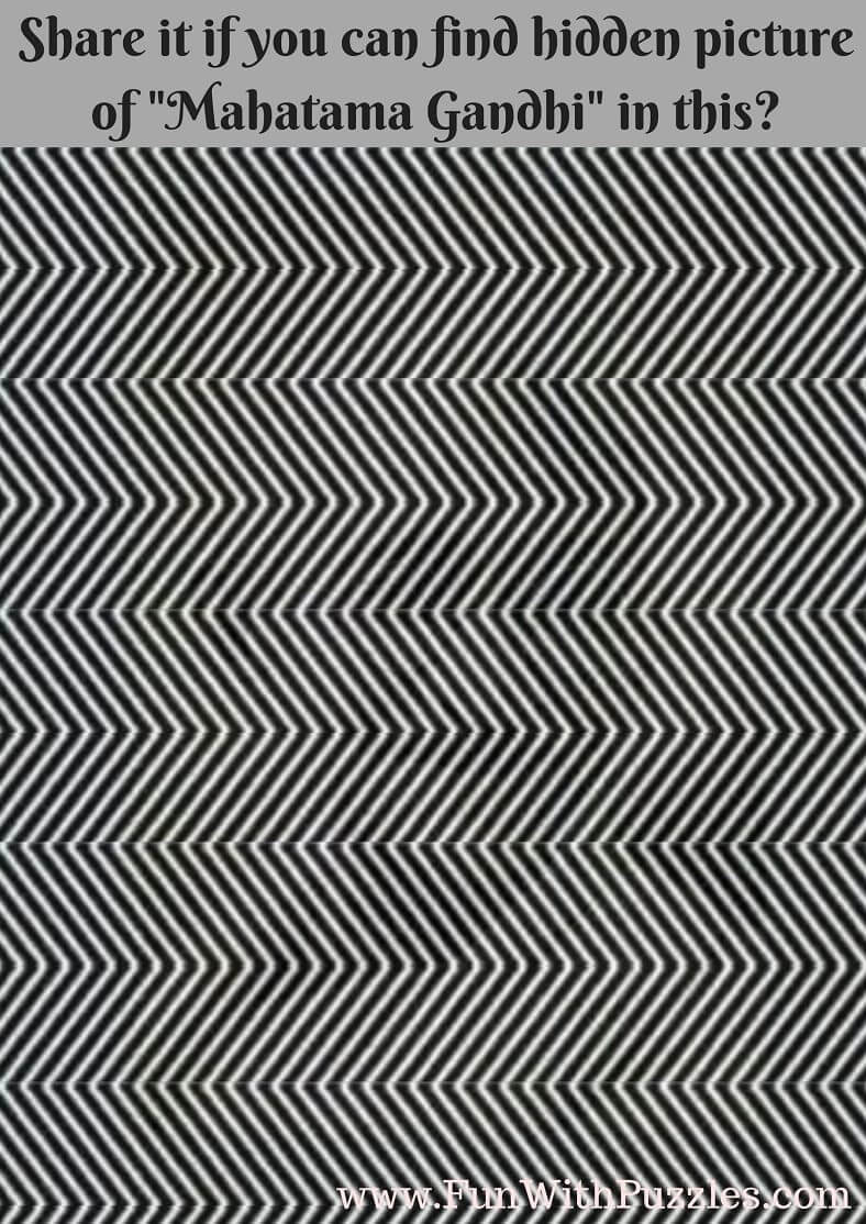 Discover Hidden Faces: Visual Puzzles with a Twist