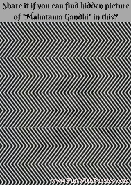 Discover Hidden Faces: Visual Puzzles with a Twist