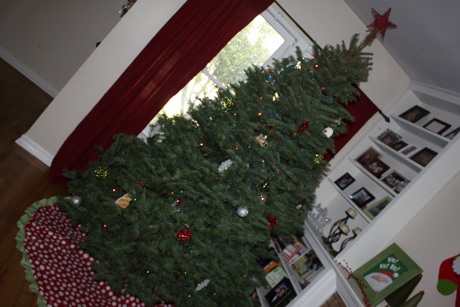 Living the Super Life: My Obsession with Christmas Trees!