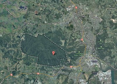 Dictionaries and Dongles: Pukenui Forest Map