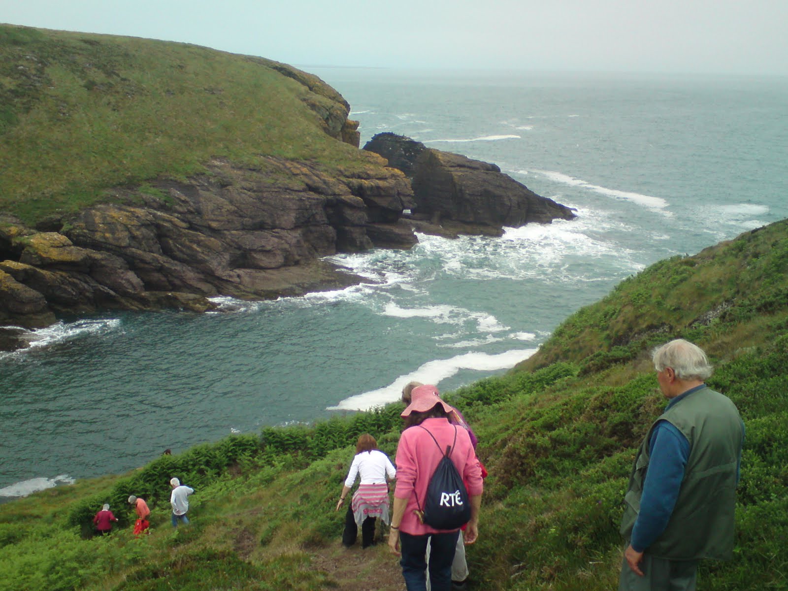 Irish Wildlife Trust...Waterford Branch: Coastal walk