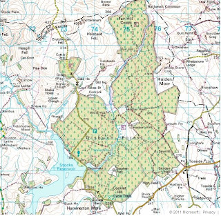 Freeride NW: Scouting Gisburn Forest