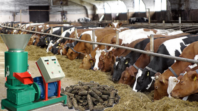 Homemade Cattle Feed Pellet Guideline: How to Make Homemade Cattle Feed ...
