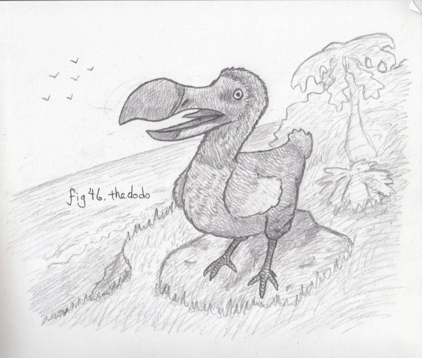 Jun Makes Stuff: #63 The Dodo