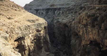 LivingNonviolence: A Path of Life in the Valley of the Shadow of Death