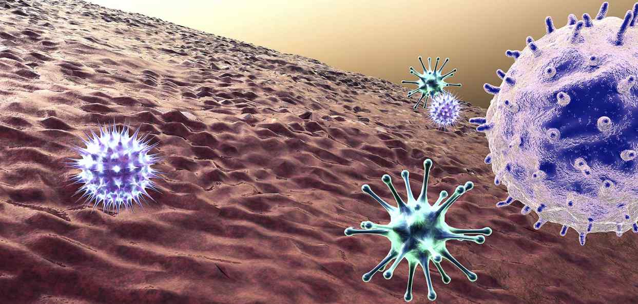 La inmunidad innata - Biología