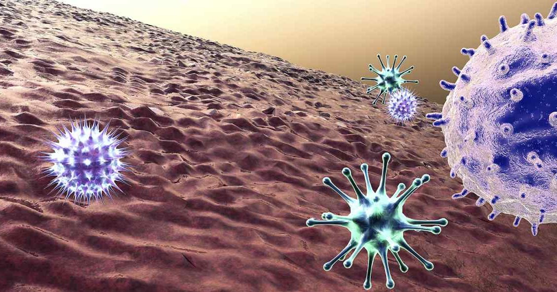 La inmunidad innata - Biología