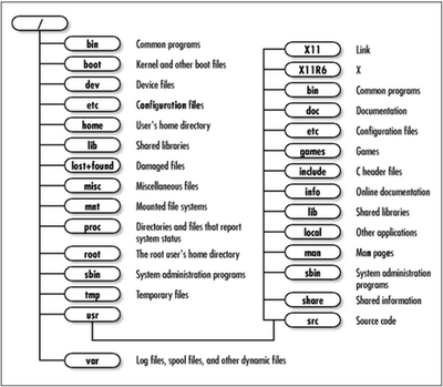 Struktur Sistem LINUX ~ MATKUL SISTEM OPERASI