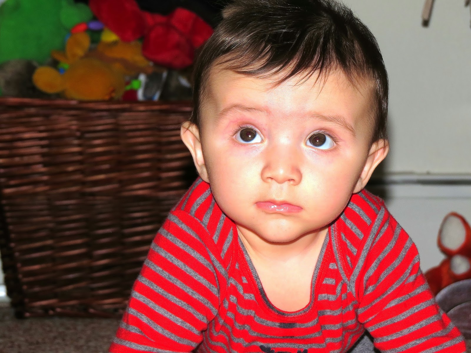 The Amazing Adventures of Me, A 19 year old Mom and Full Time College ...