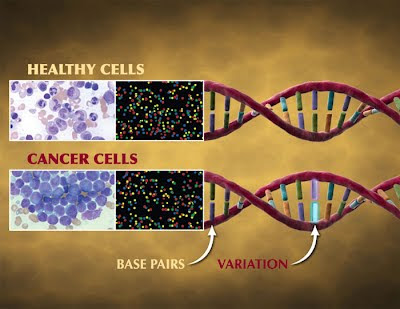 Release and Free Access of The Pediatric Cancer Genome Project Data ...