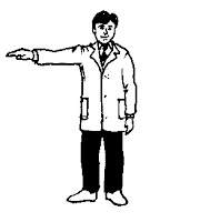 Cricket Lovers': Cricket Rules - No Ball