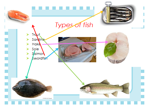 Casvi6Primary: Unit9&11